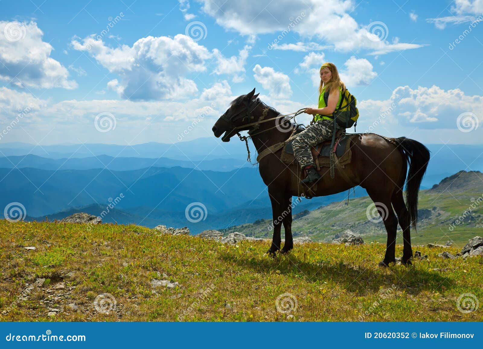 Horse ridding stock photo. Image of move, equestrian - 20620352