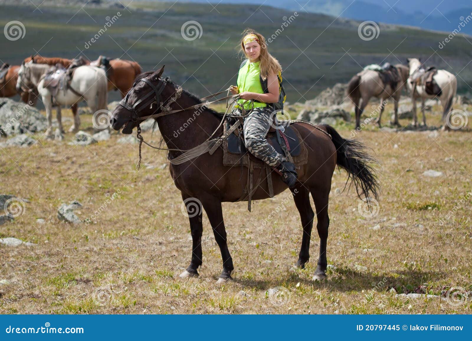 Horse ridding stock image. Image of park, mountain, rider - 20797445