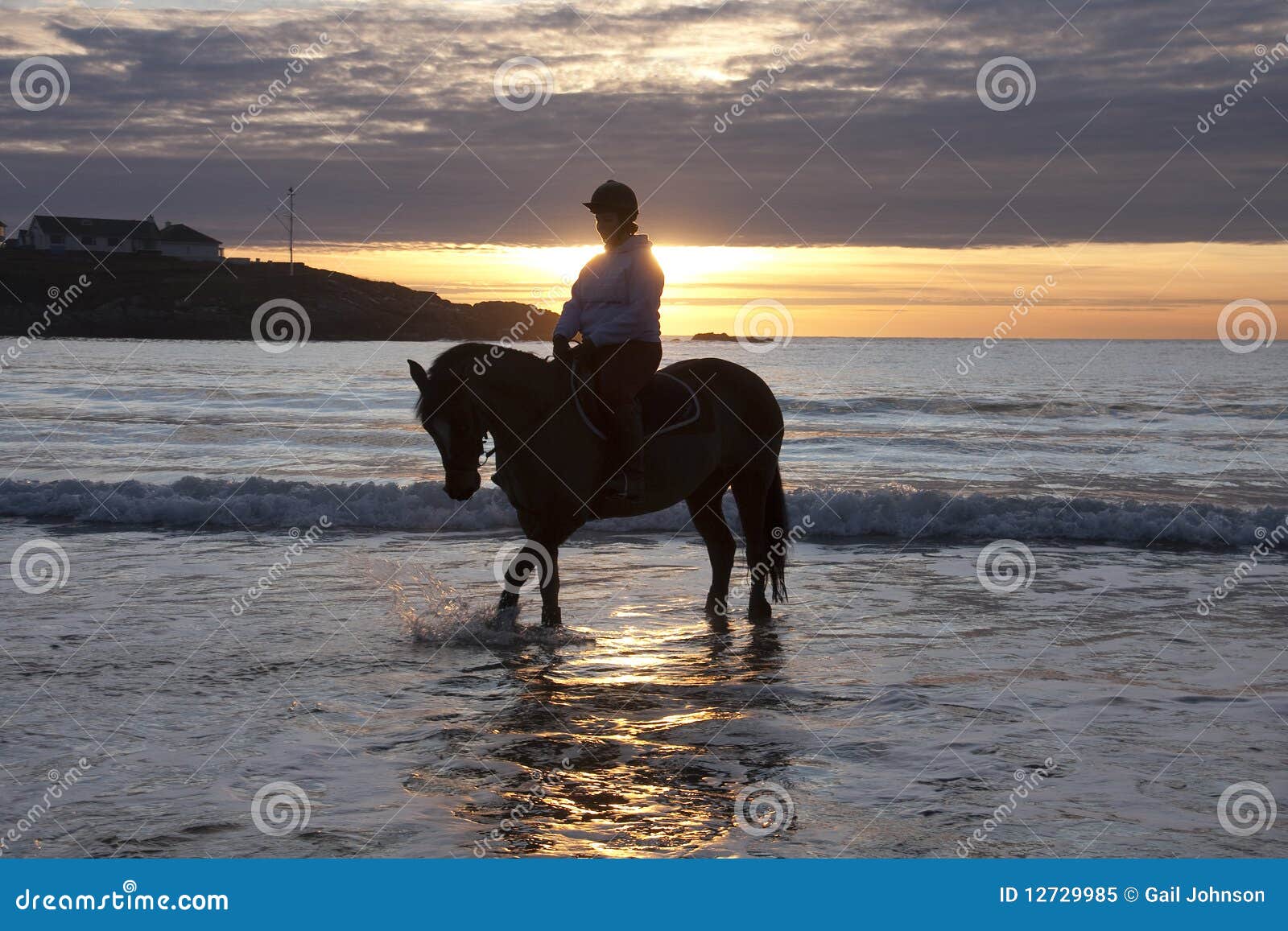 Horse and ride stock image. Image of horse, rider, north - 12729985