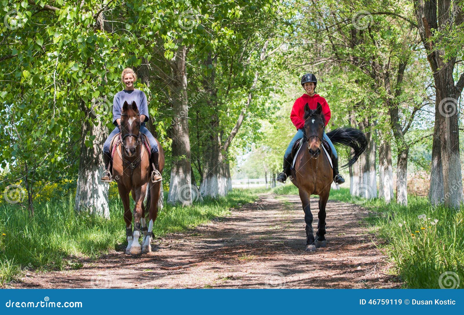 Horse ride. stock image. Image of hobby, horseback, landscape - 46759119