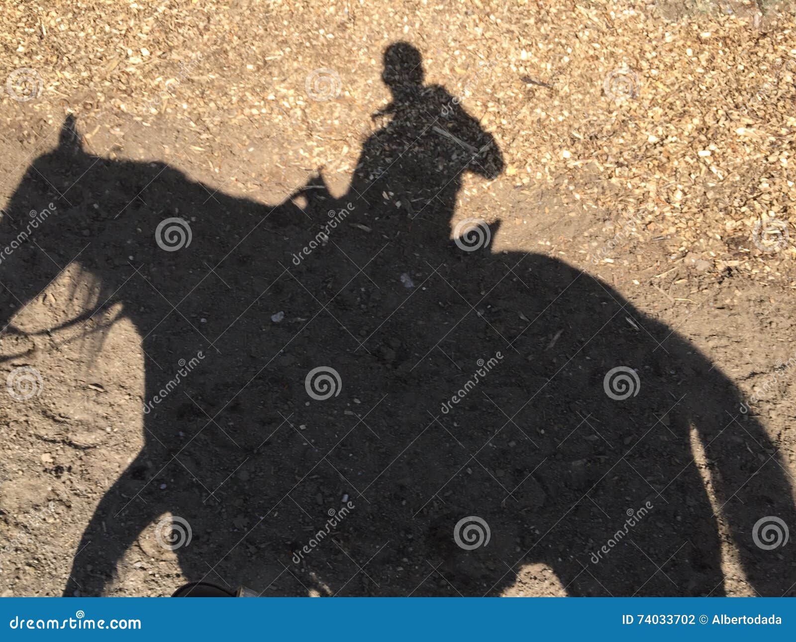 1,220 Horse Riding Shadow Stock Photos - Free & Royalty-Free Stock ...