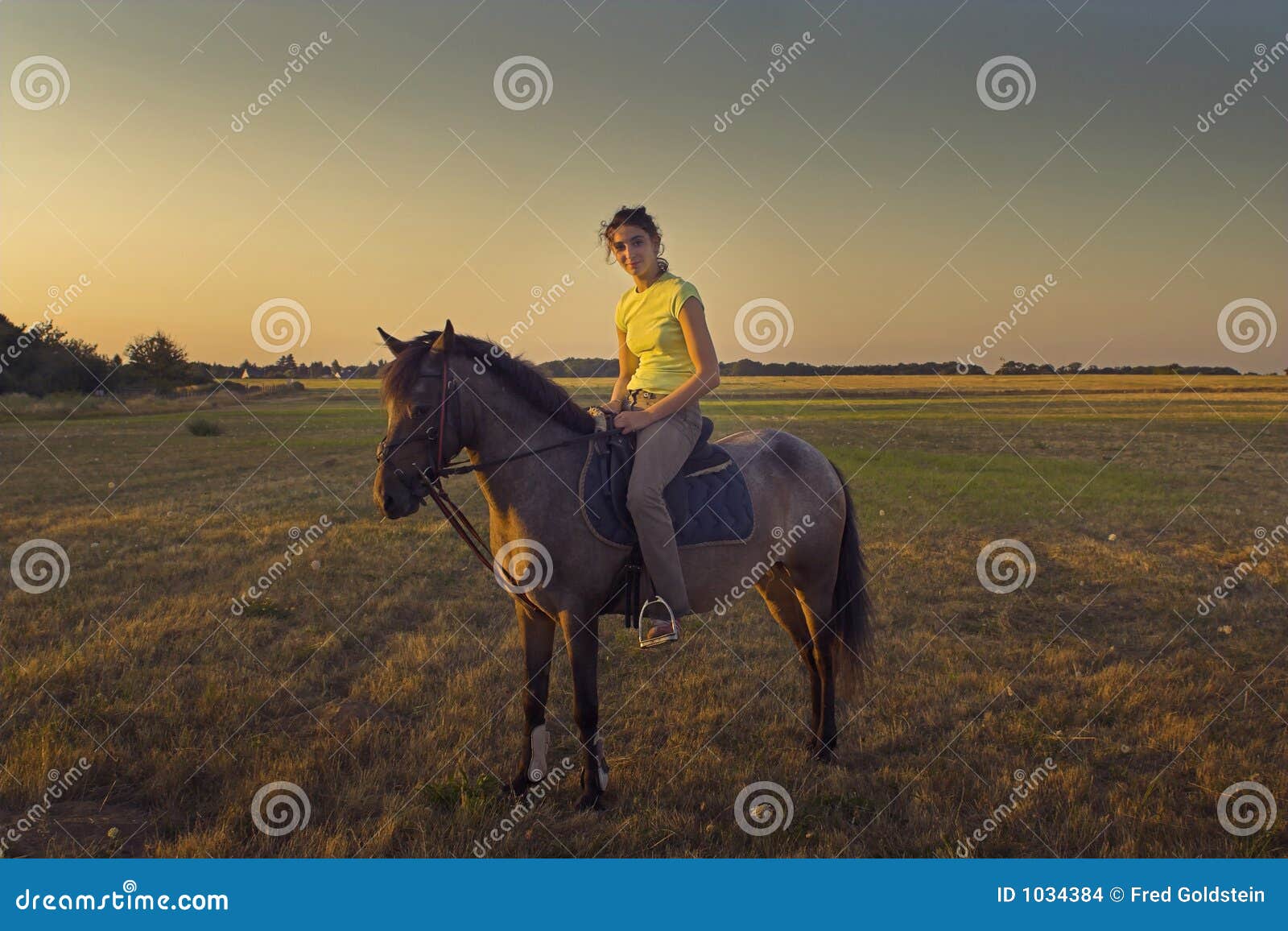 Horse rider stock photo. Image of nature, living, ridden - 1034384