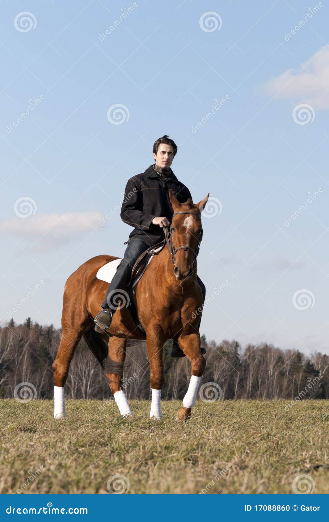 Horse Rider stock photo. Image of field, country, caucasian - 17088860