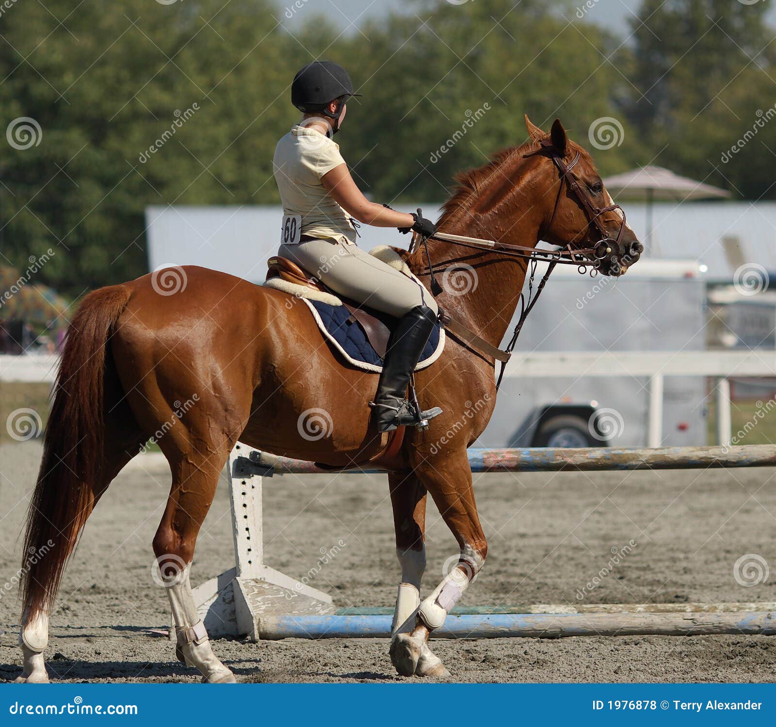 Horse And Rider Picture. Image: 1976878