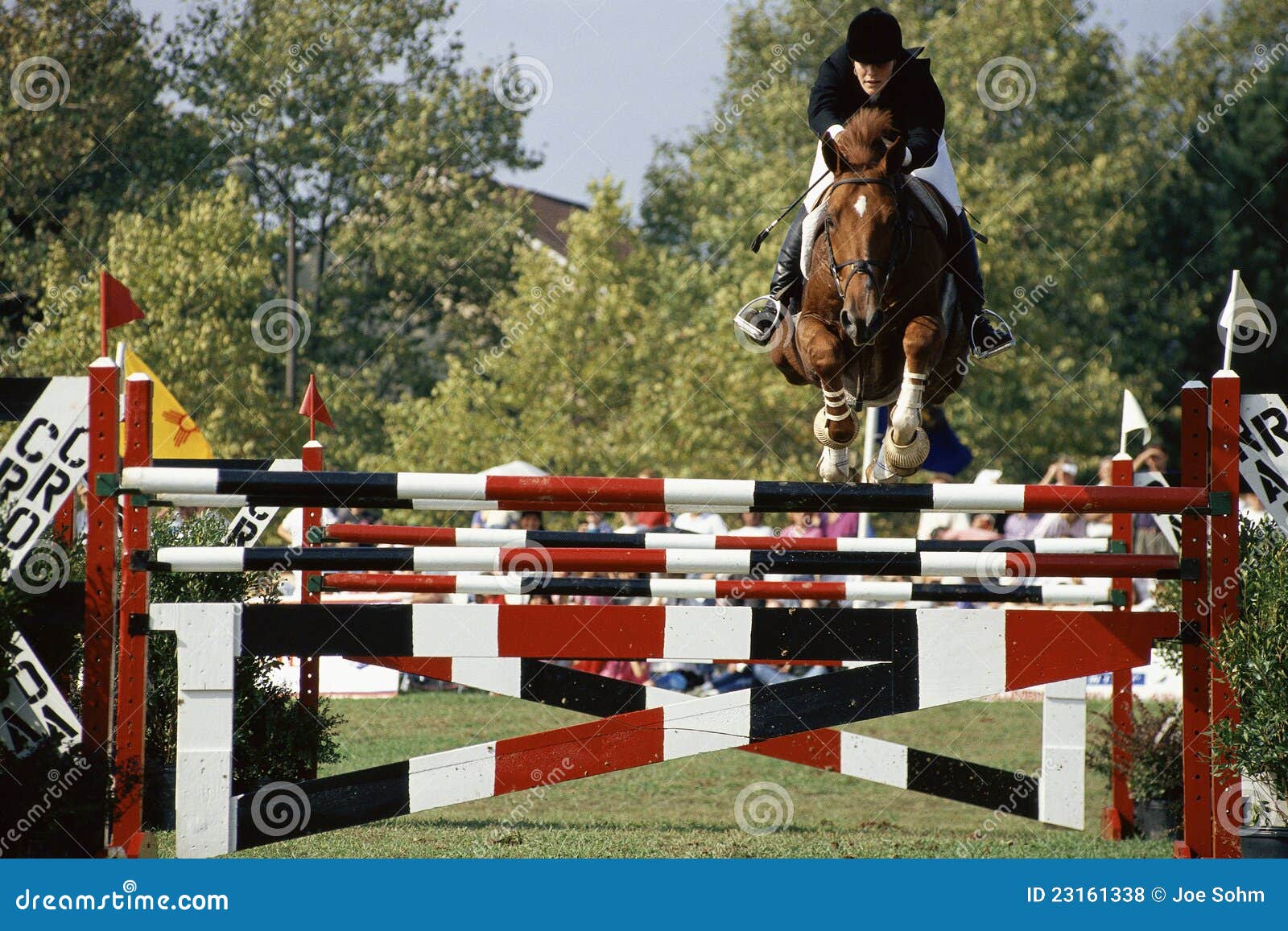 Horse and rider editorial stock photo. Image of leap - 23161338