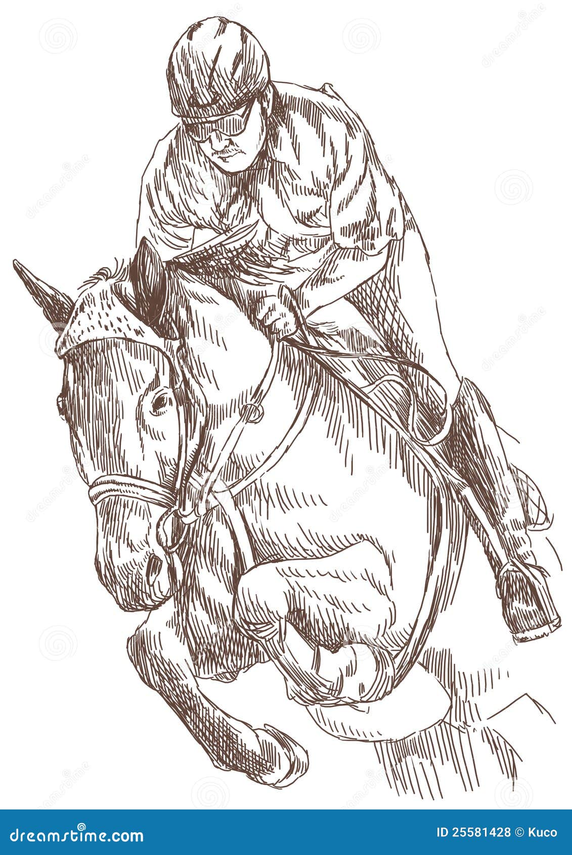 Horse rider stock vector. Illustration of adult, pedigree - 25581428