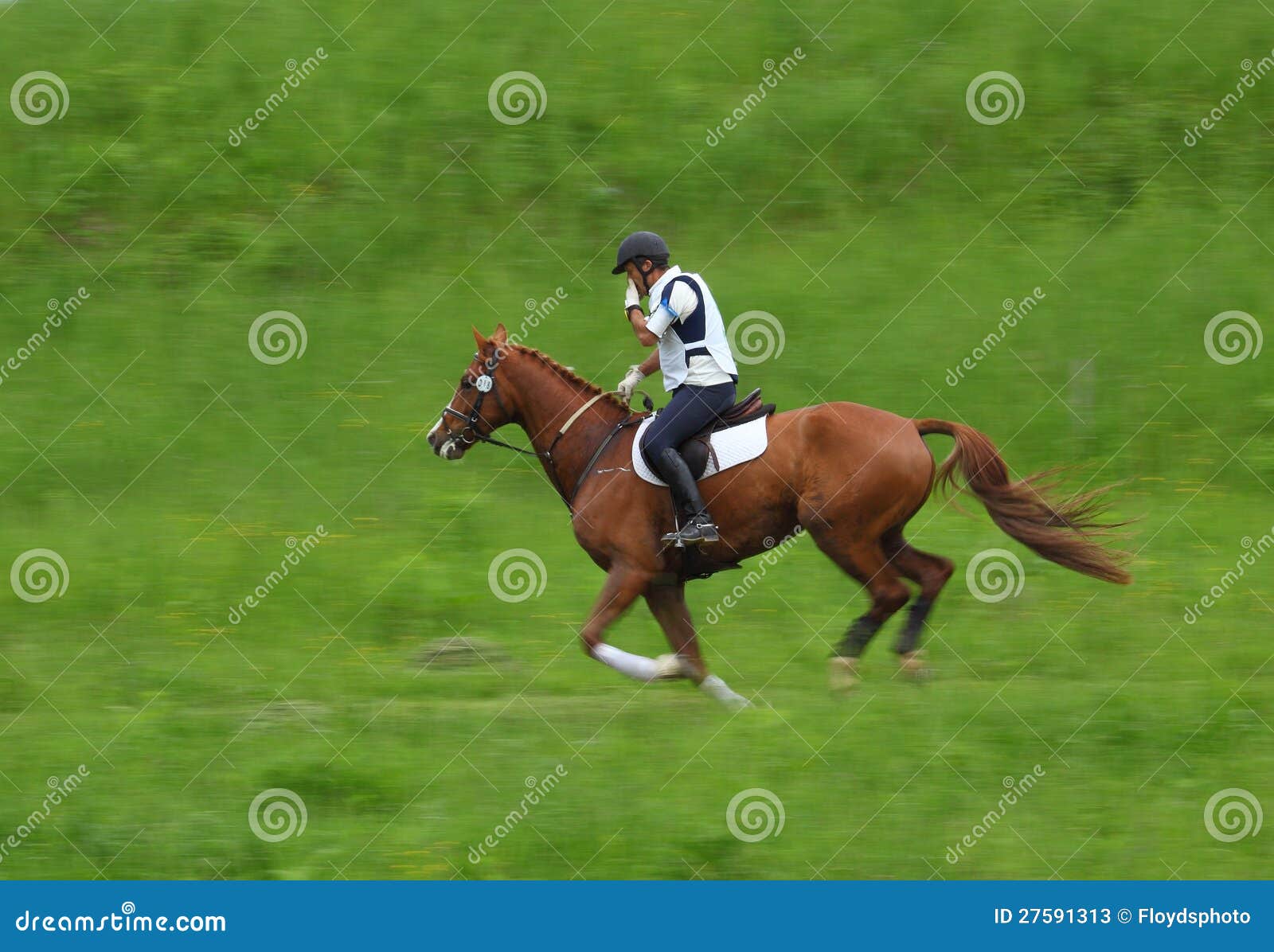 Horse Rider editorial stock photo. Image of fast, blurry - 27591313