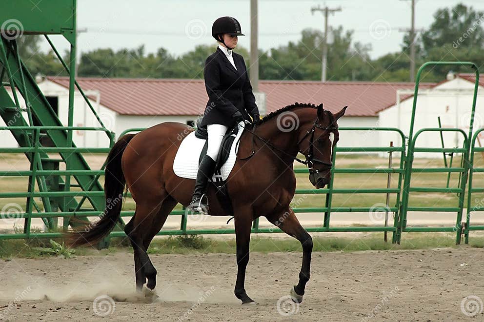 Horse and Rider stock photo. Image of horse, farm, equestrian - 3144240