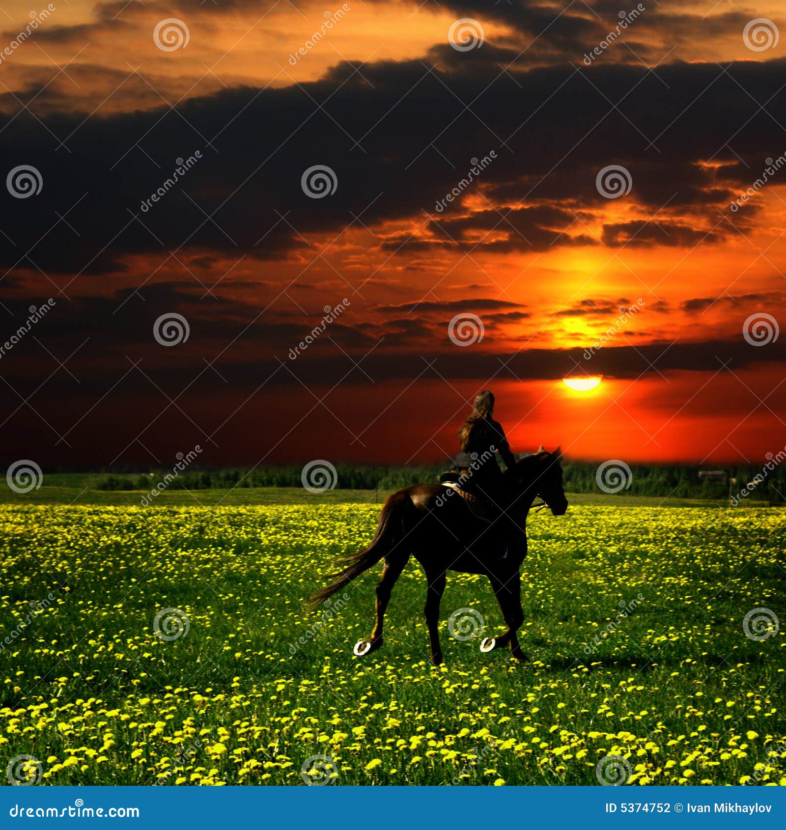 Horse rider stock photo. Image of contest, pace, pedigree - 5374752