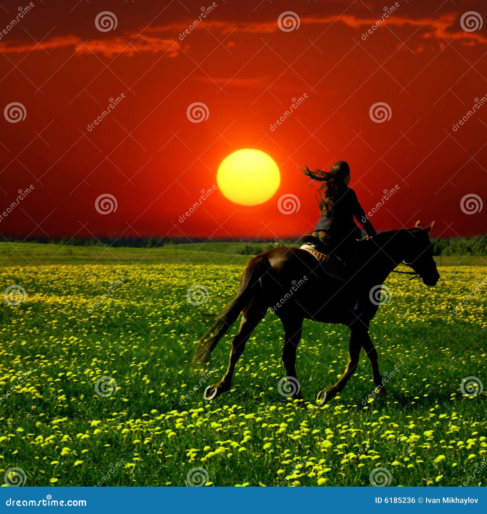 Horse rider stock photo. Image of active, horseback, girth - 6185236