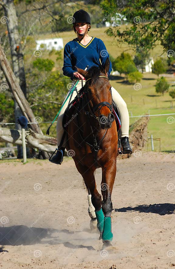 Horse with rider stock image. Image of farm, active, friends - 6480933