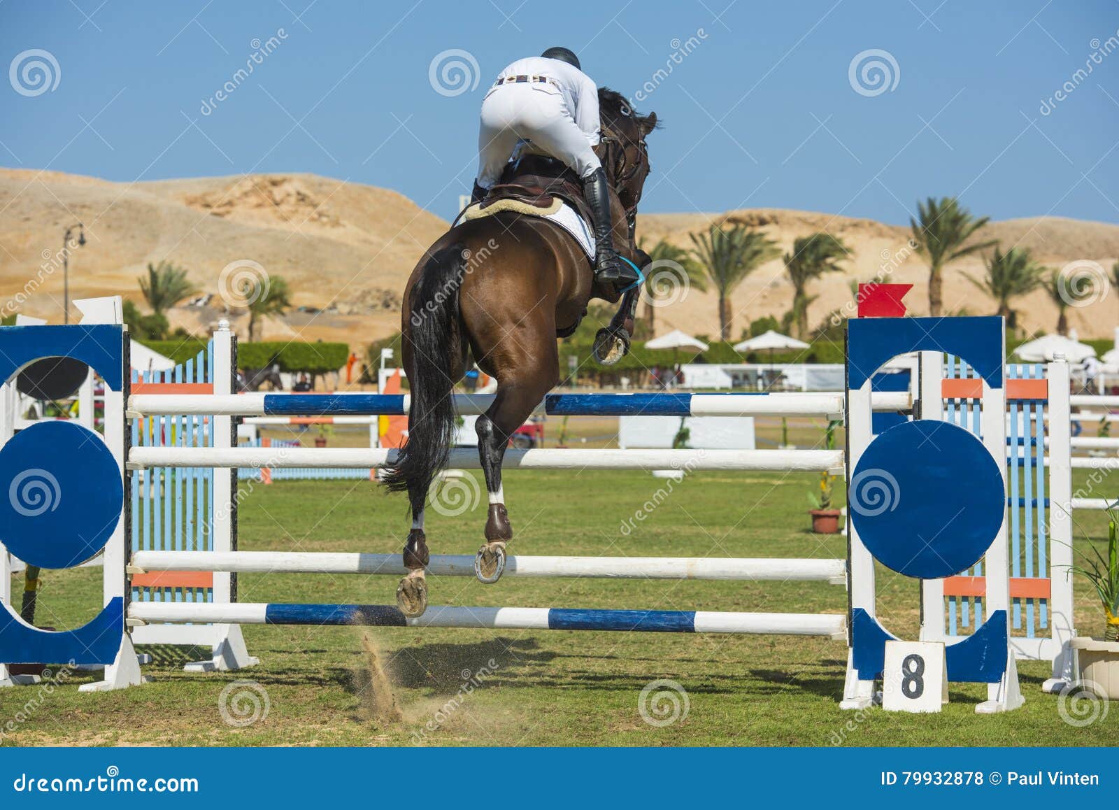 Horse and Rider Jumping in Equestrian Competition Editorial Stock Photo ... Horse and Rider Jumping in Equestrian Competition Editorial Stock Photo ...
