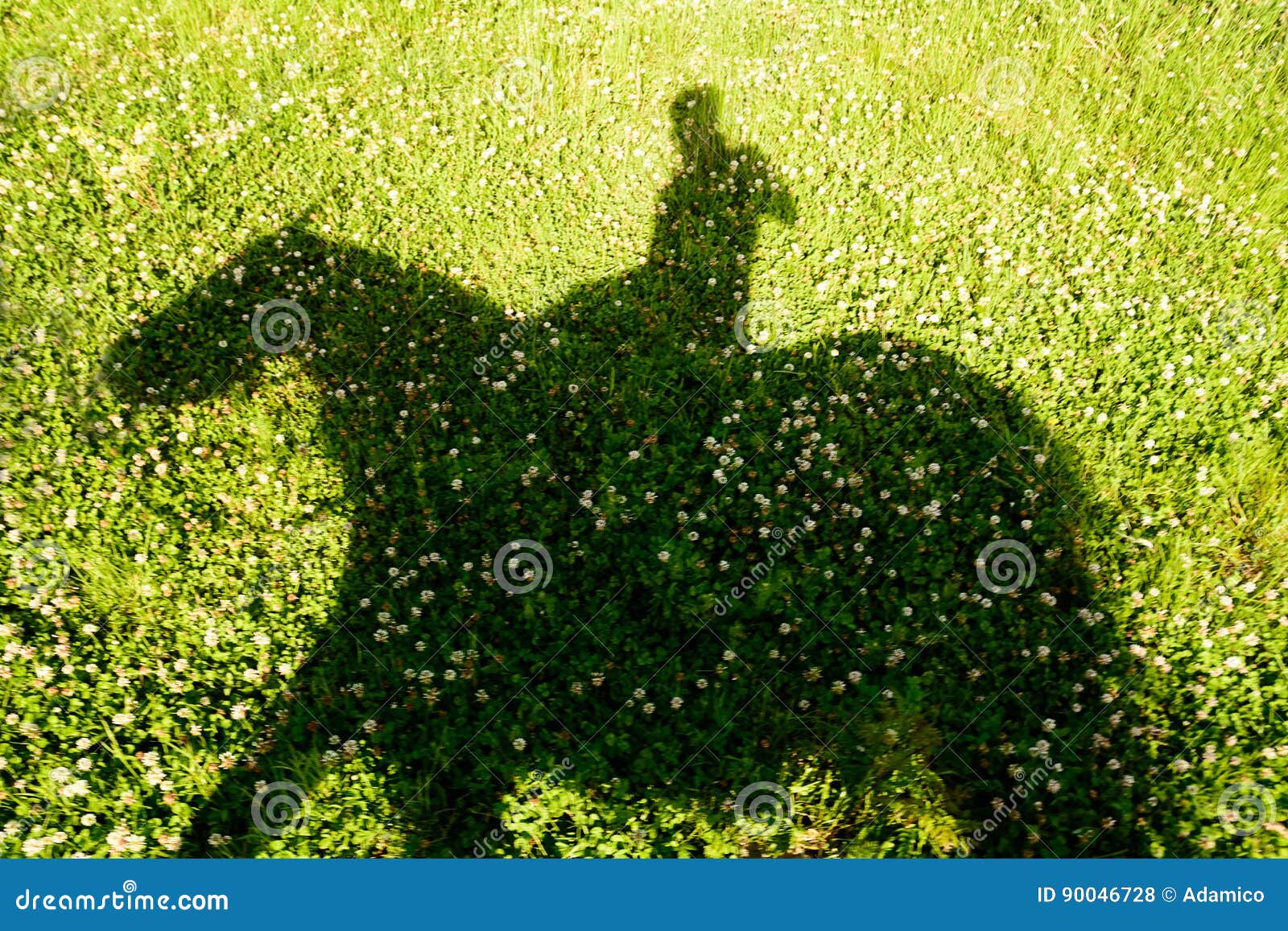 Horse and Rider Shadow on the Lawn Stock Photo - Image of horseback ...