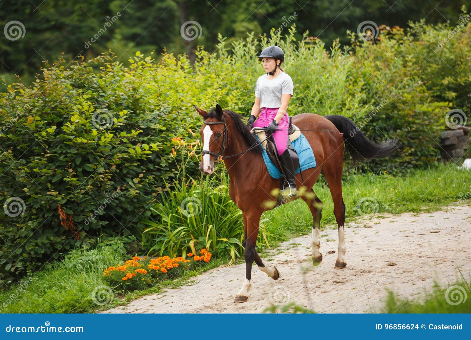 Horse rider in a stable stock photo. Image of caucasian - 96856624