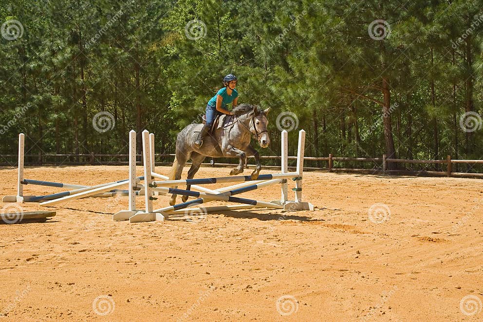 Horse and Rider Training stock image. Image of teach - 19304537