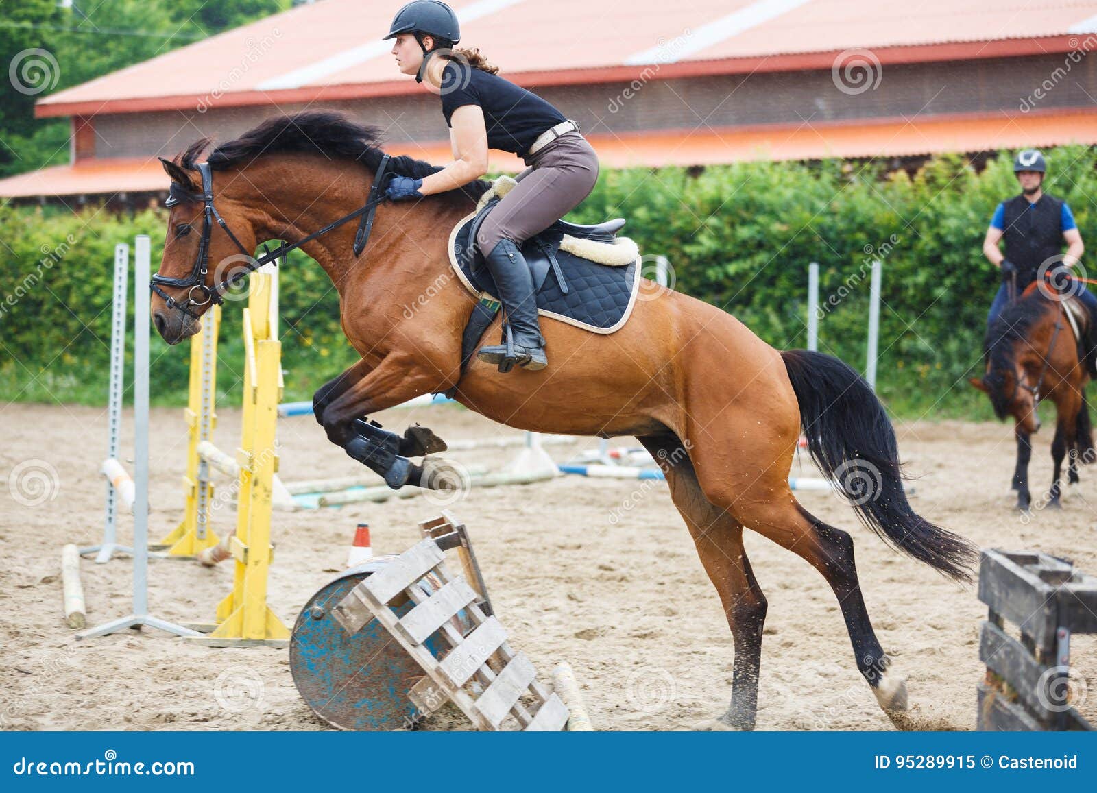 Horse Rider is Training in the Arena Stock Image - Image of equestrian ...