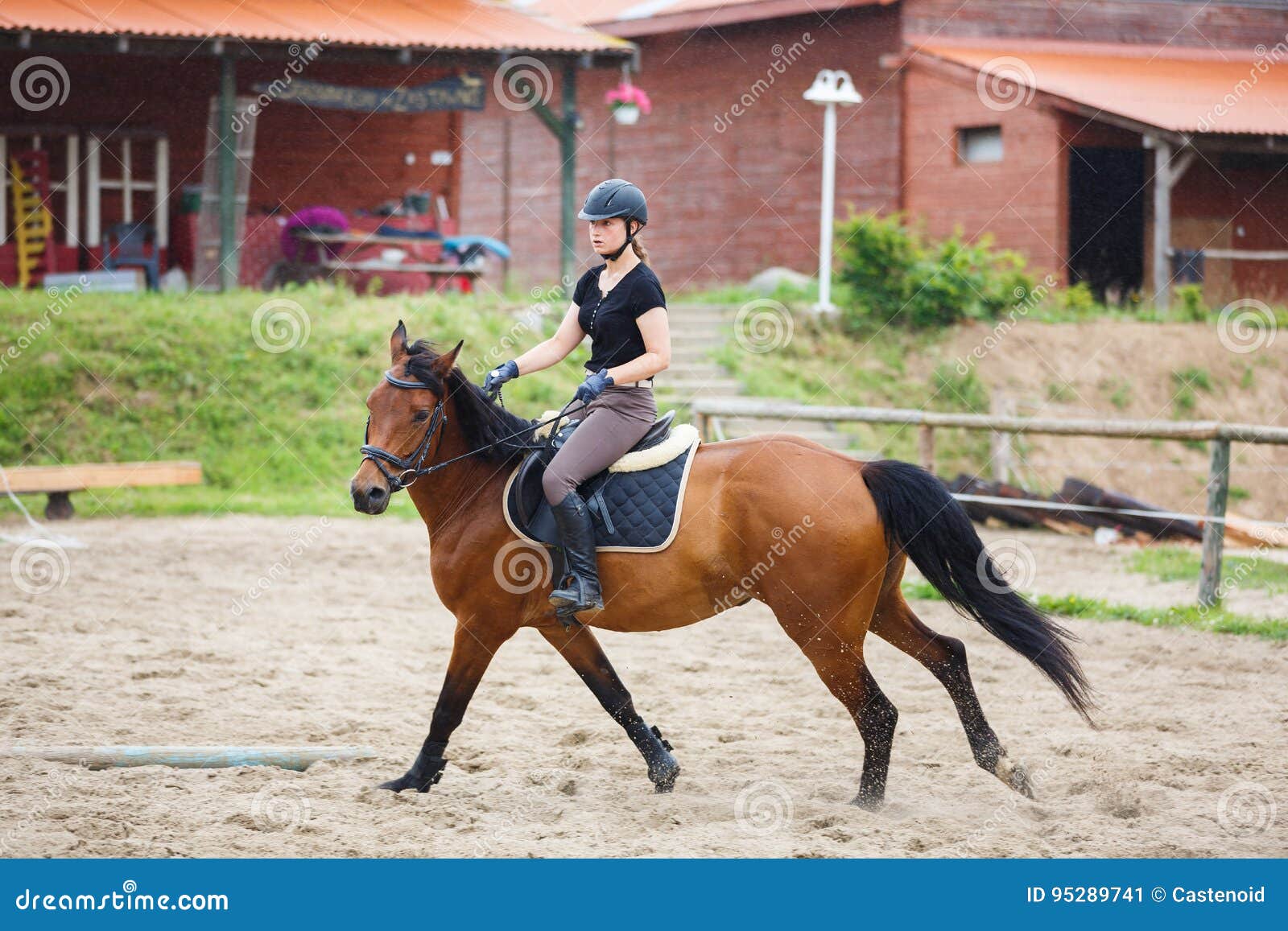 Horse Rider is Training in the Arena Stock Image - Image of outside ...