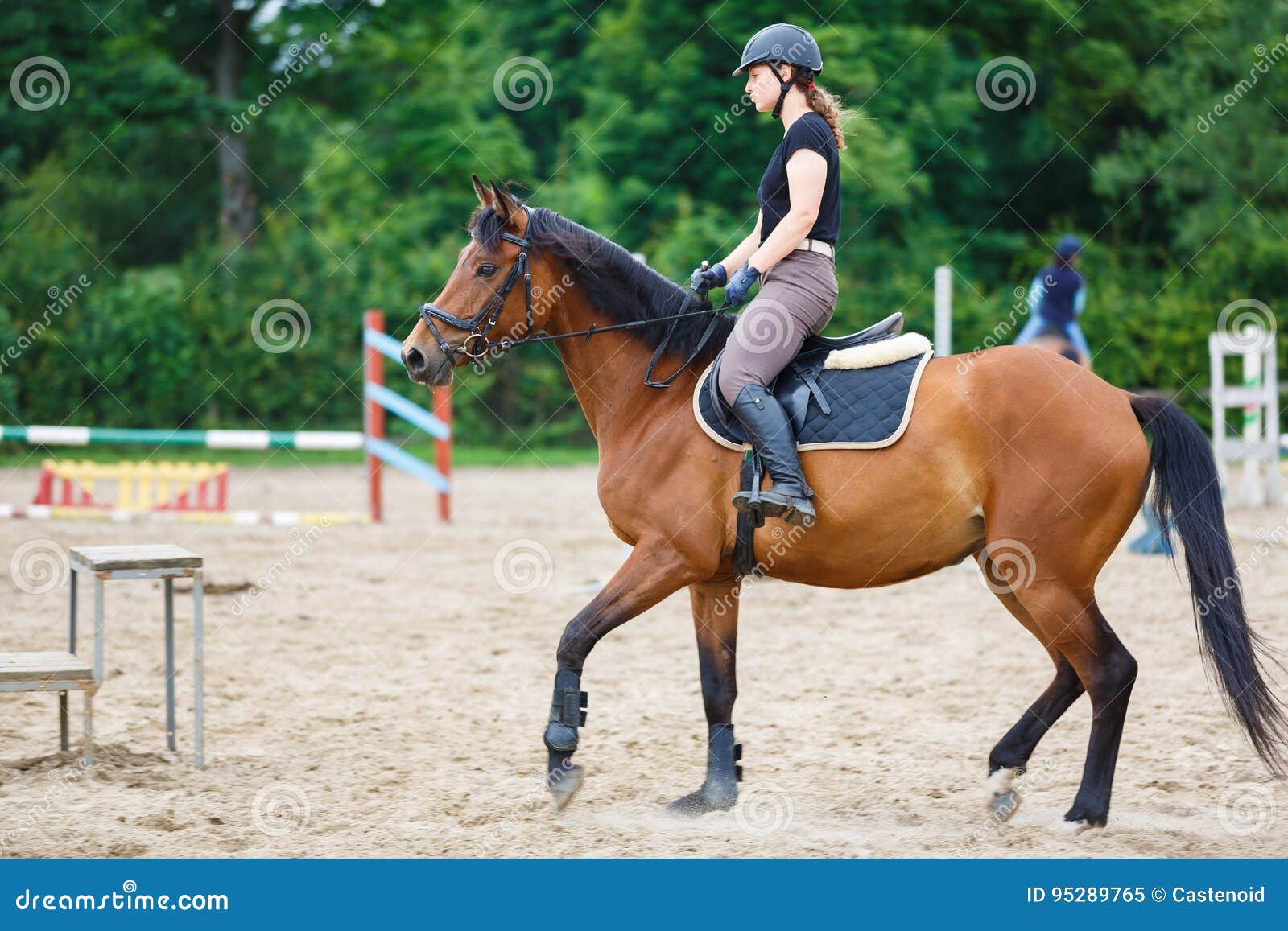 Horse Rider is Training in the Arena Stock Image - Image of girl ...