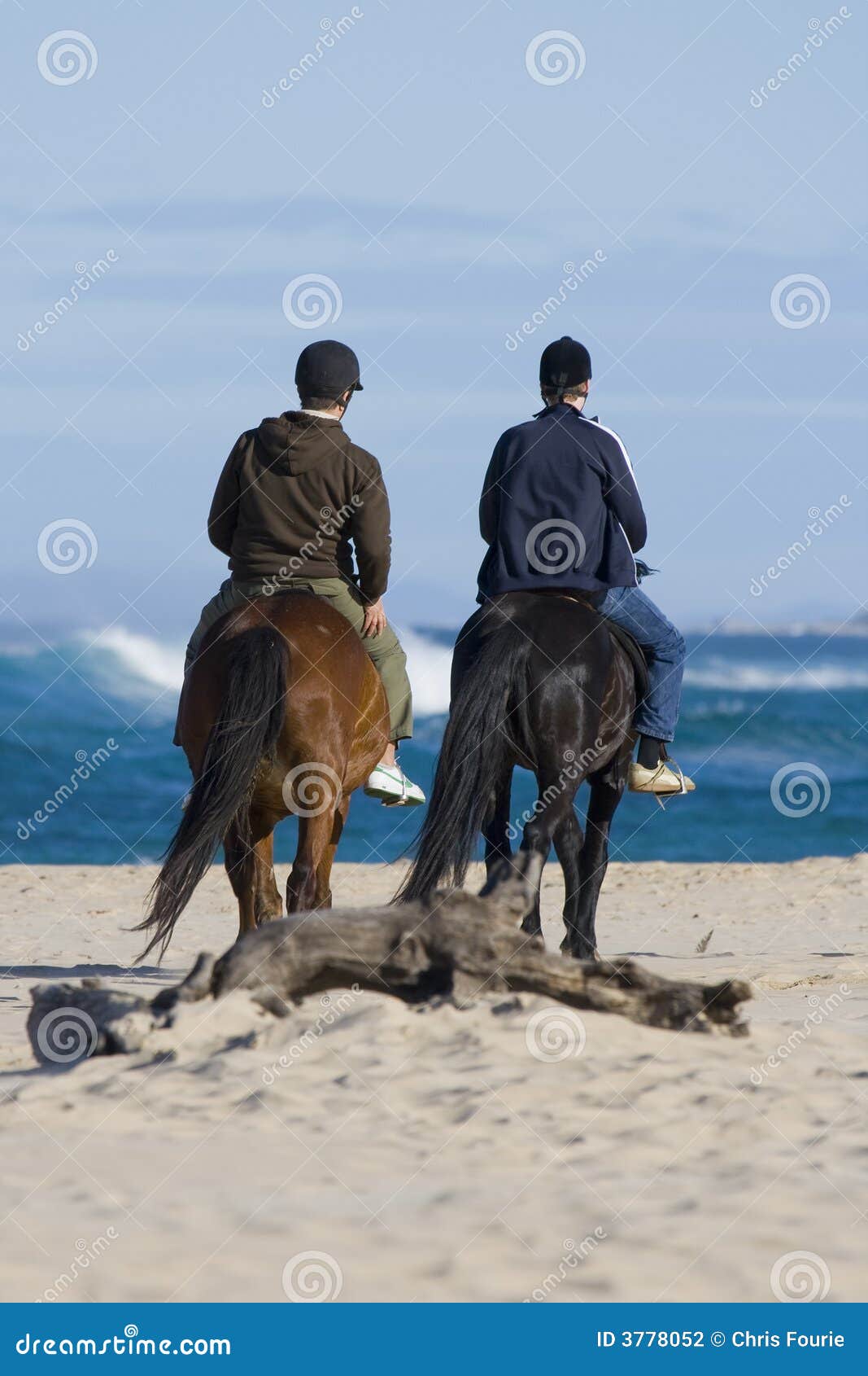 Horse Riders stock photo. Image of hobby, mammal, natural - 3778052