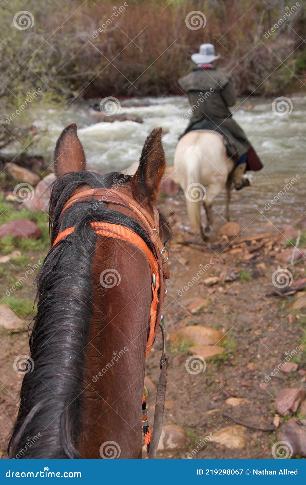 Horse Riders Approaching River Crossing Stock Image - Image of horse ...