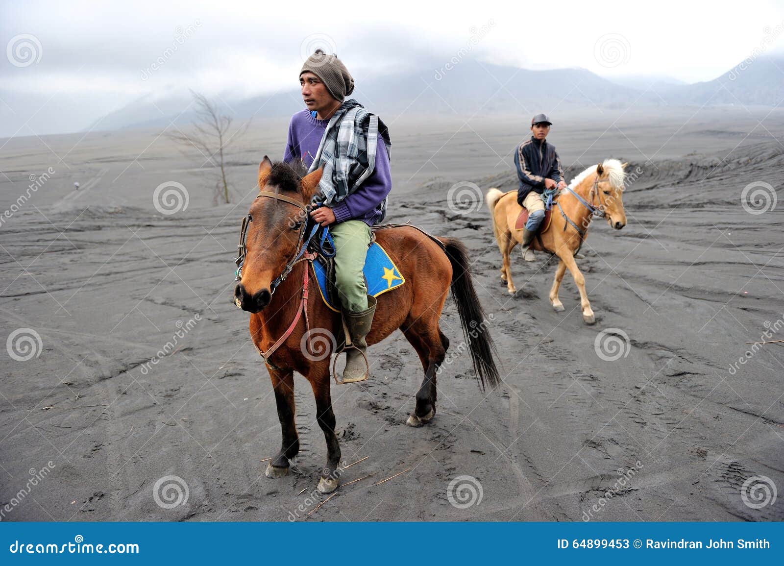Horse Riders at Mount Bromo Editorial Stock Photo - Image of indonesia ...