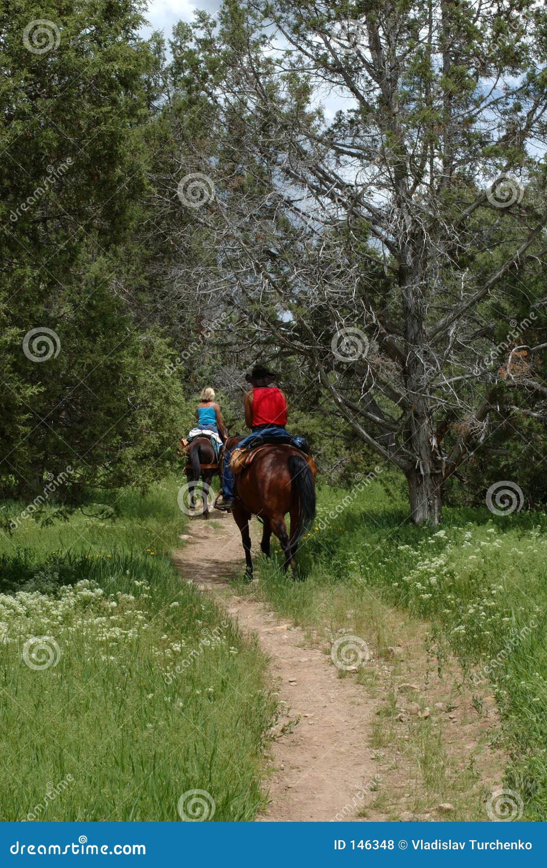 Horse Riders on the Mountain Trail Stock Photo - Image of health ...