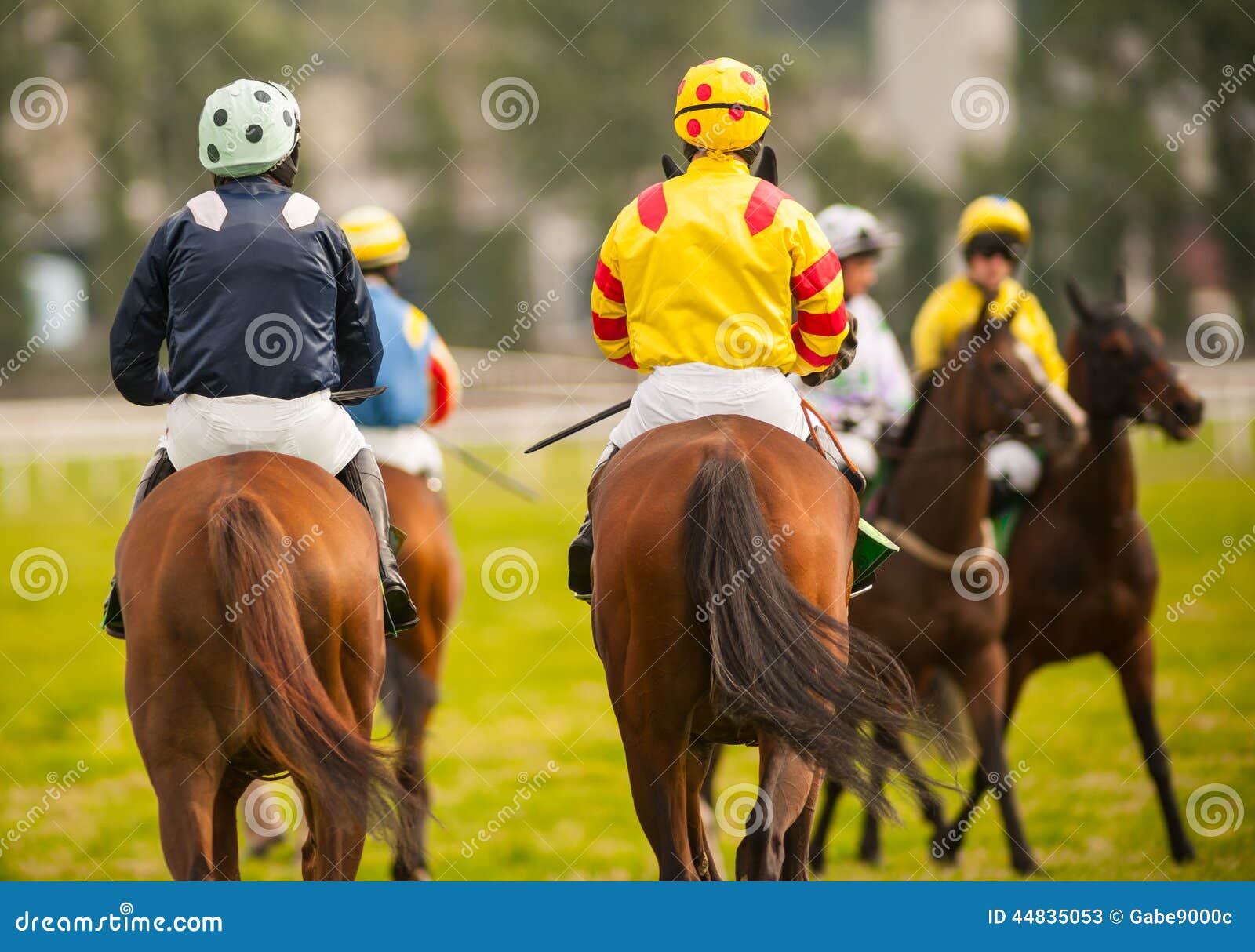 Horse Riders on the Race Track Stock Image - Image of saddle ...