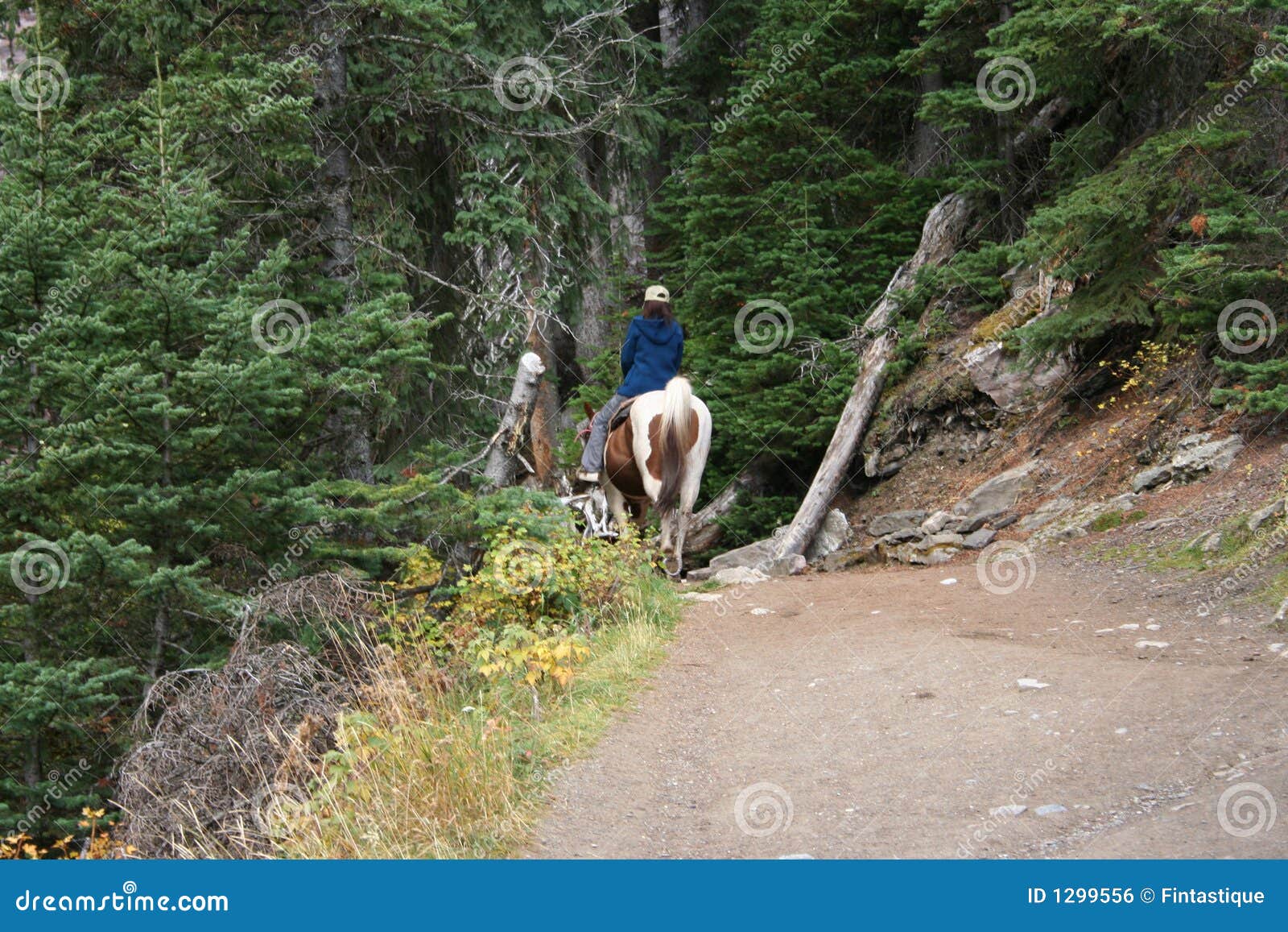 Horse riding stock photo. Image of pony, countryside, horse - 1299556
