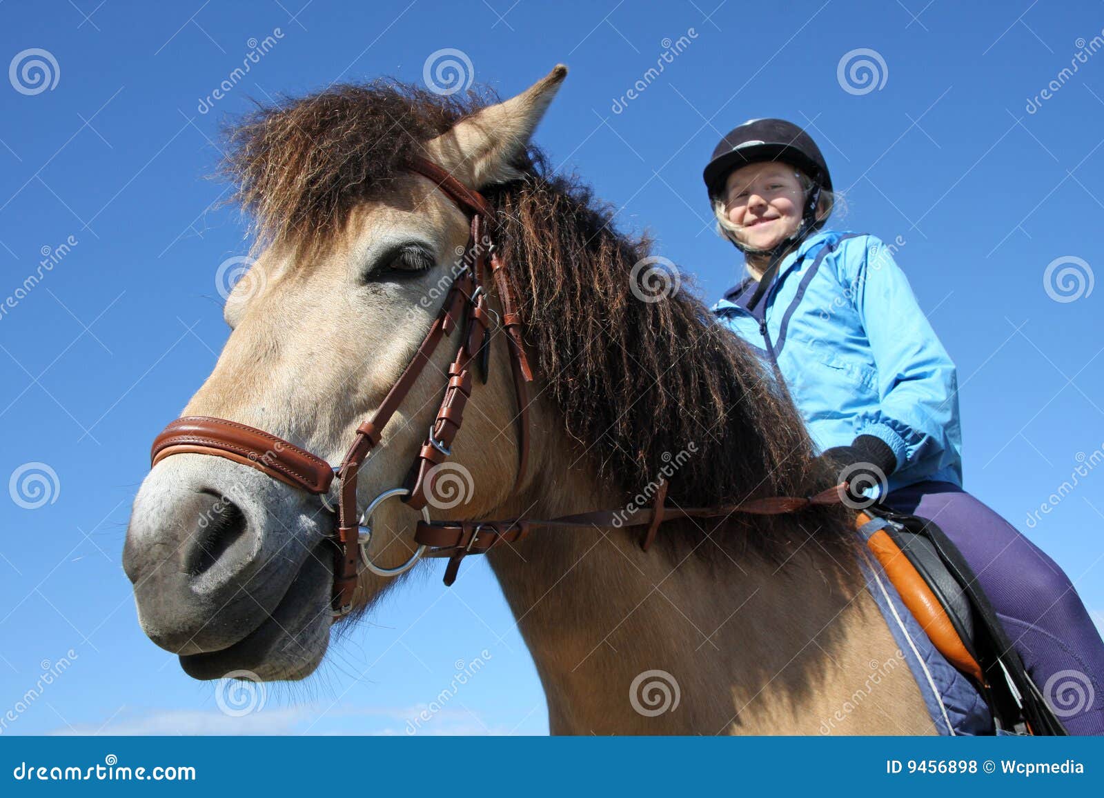 Horse riding 2 stock photo. Image of harness, protection - 9456898