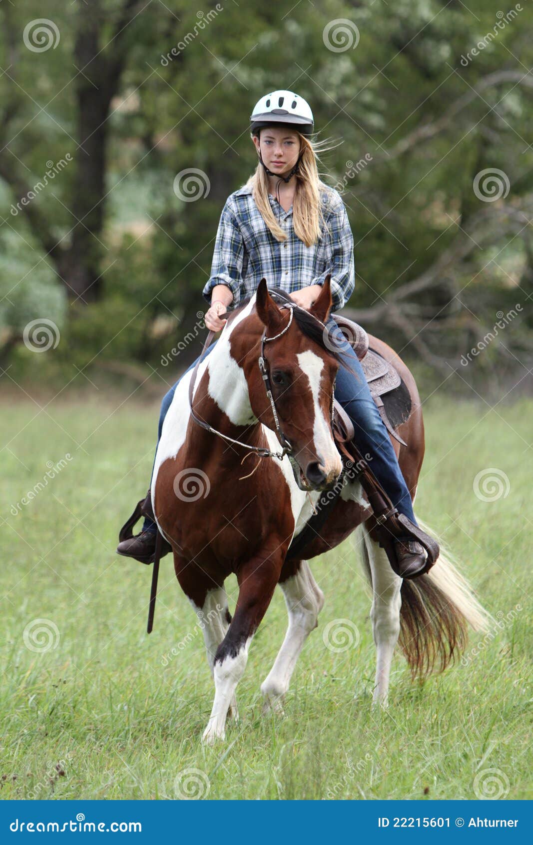 Horse riding stock image. Image of grass, lifestyle, attractive - 22215601