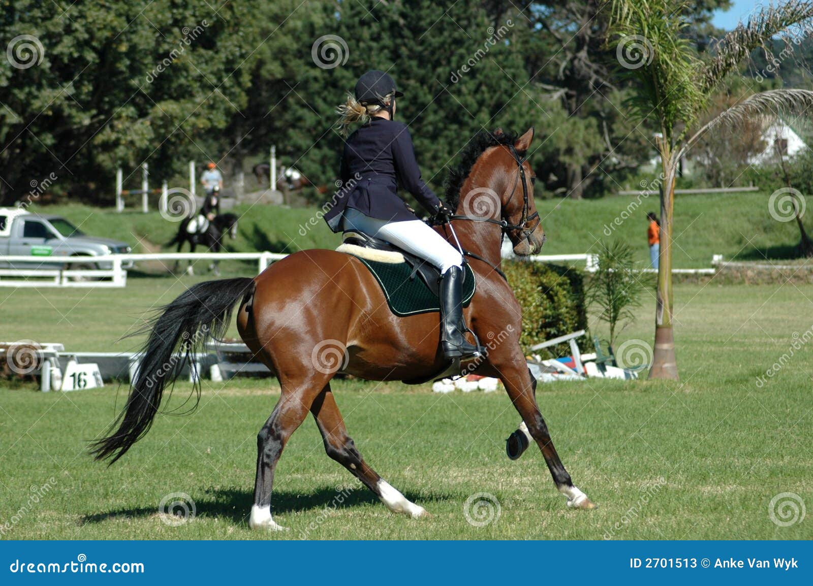 Horse riding stock image. Image of brown, action, competitor - 2701513
