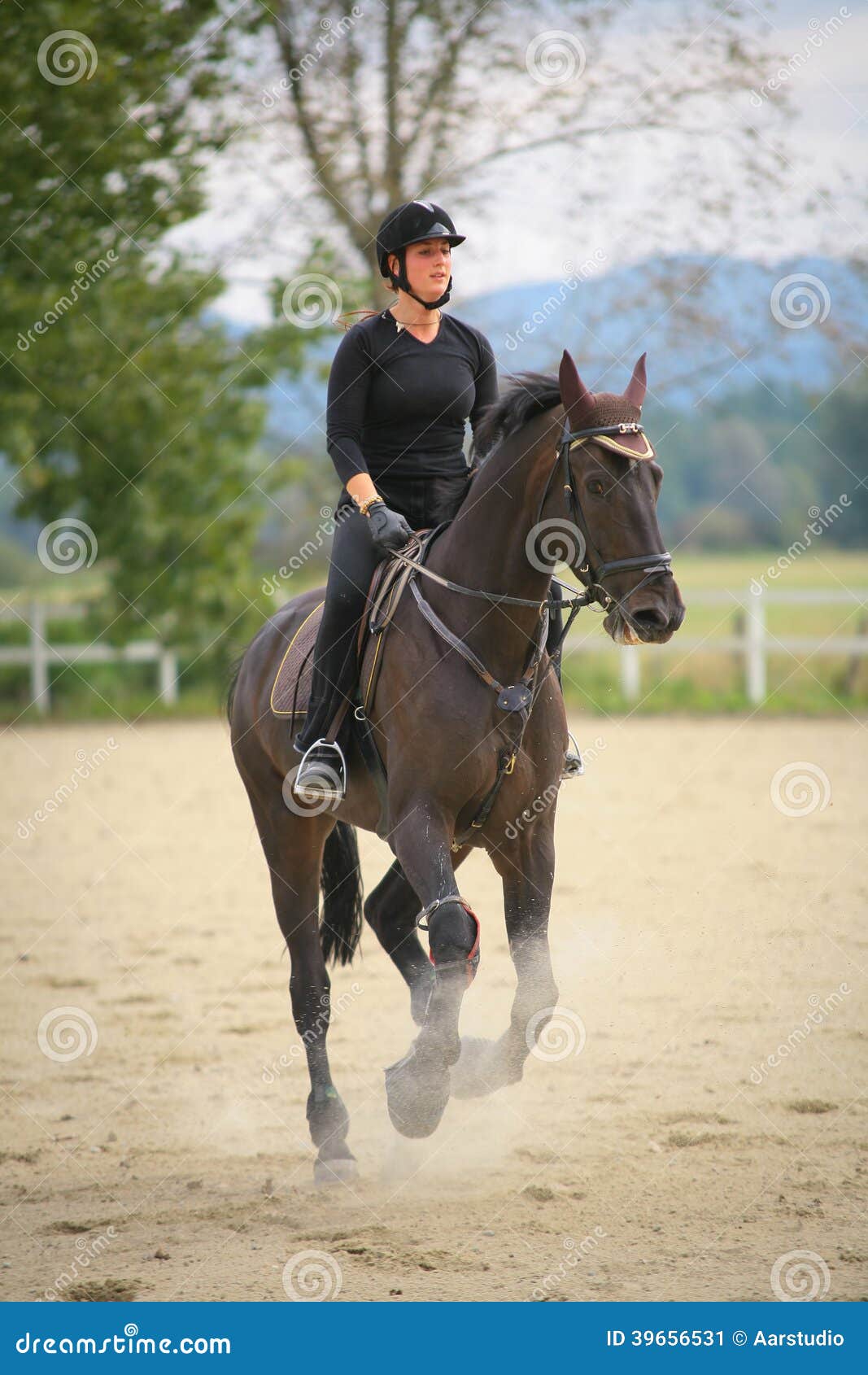 Horse riding stock image. Image of waiting, sport, grass - 39656531