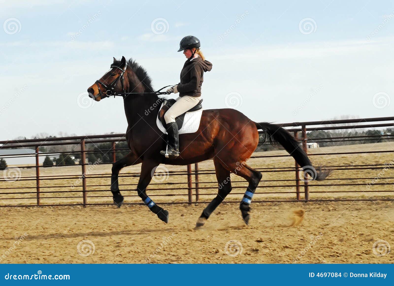 Horse riding stock photo. Image of tack, farm, horseback - 4697084