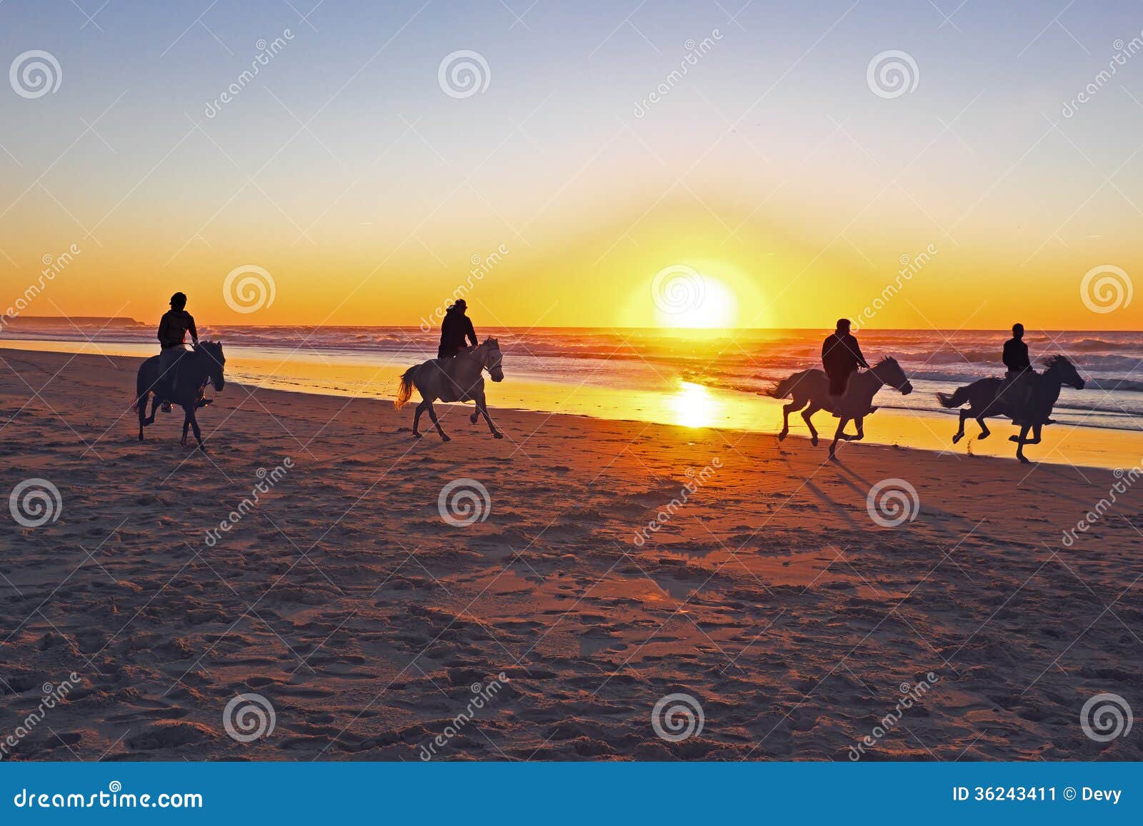 Horse riding on the beach stock image. Image of desert - 36243411