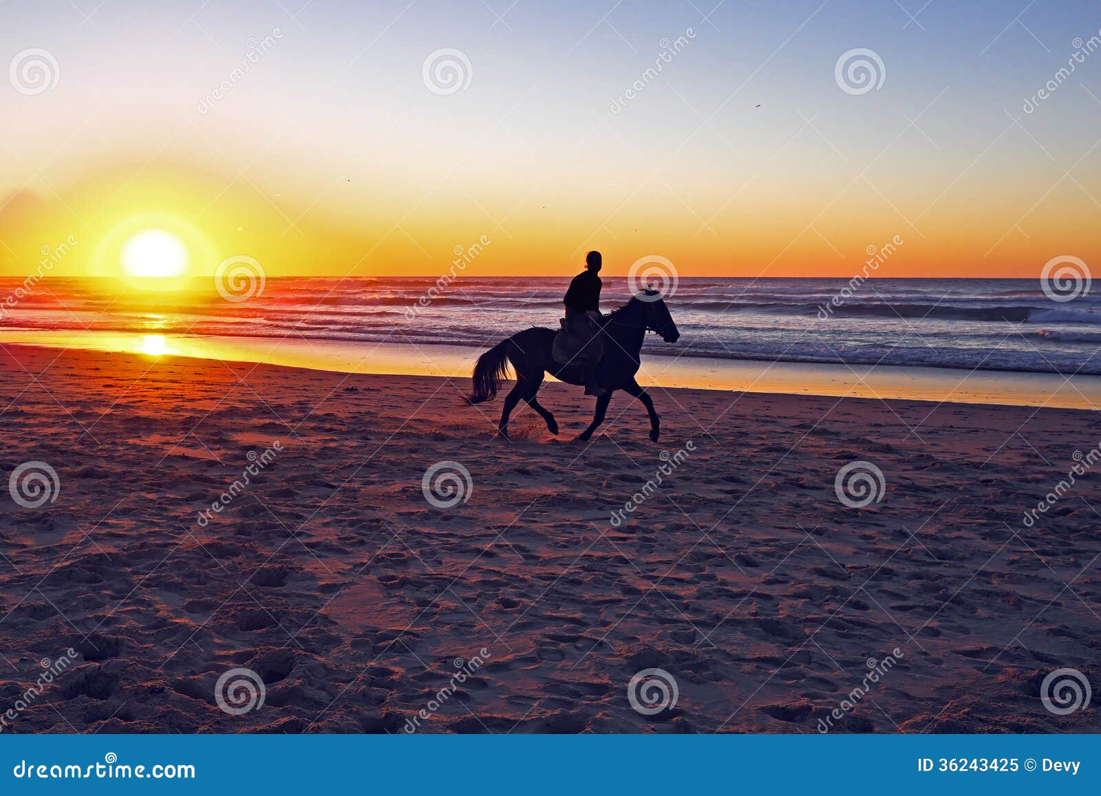 Horse riding on the beach stock image. Image of rider - 36243425