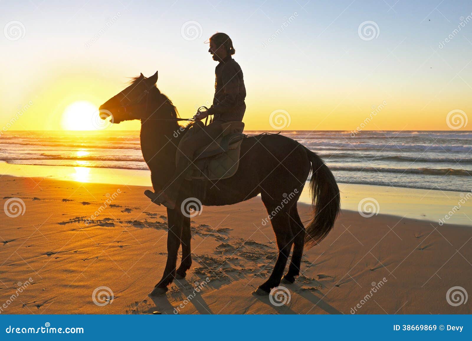 Horse riding on the beach stock image. Image of beach - 38669869