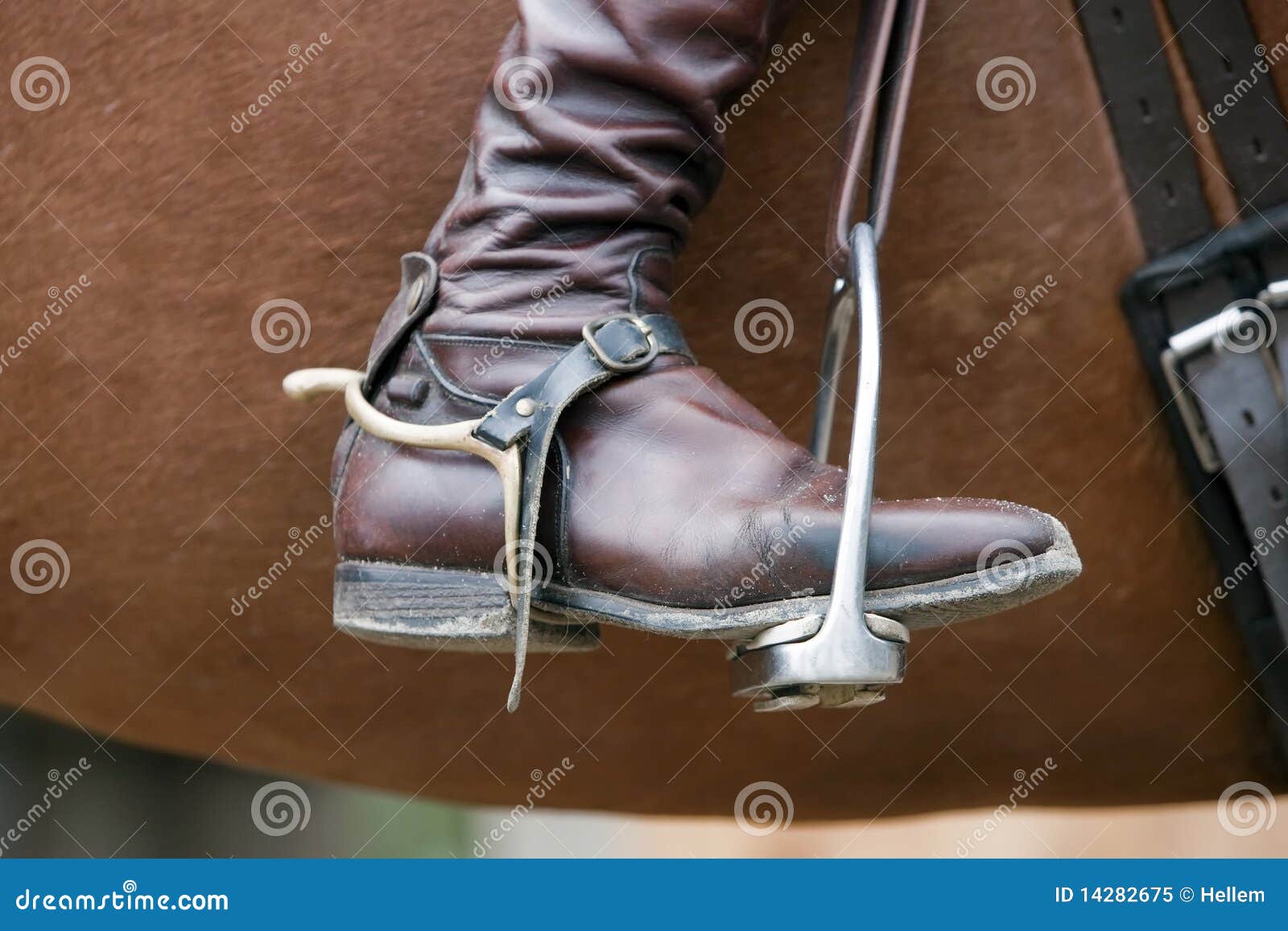 Horse - Riding Boot stock image. Image of heels, boots - 14282675