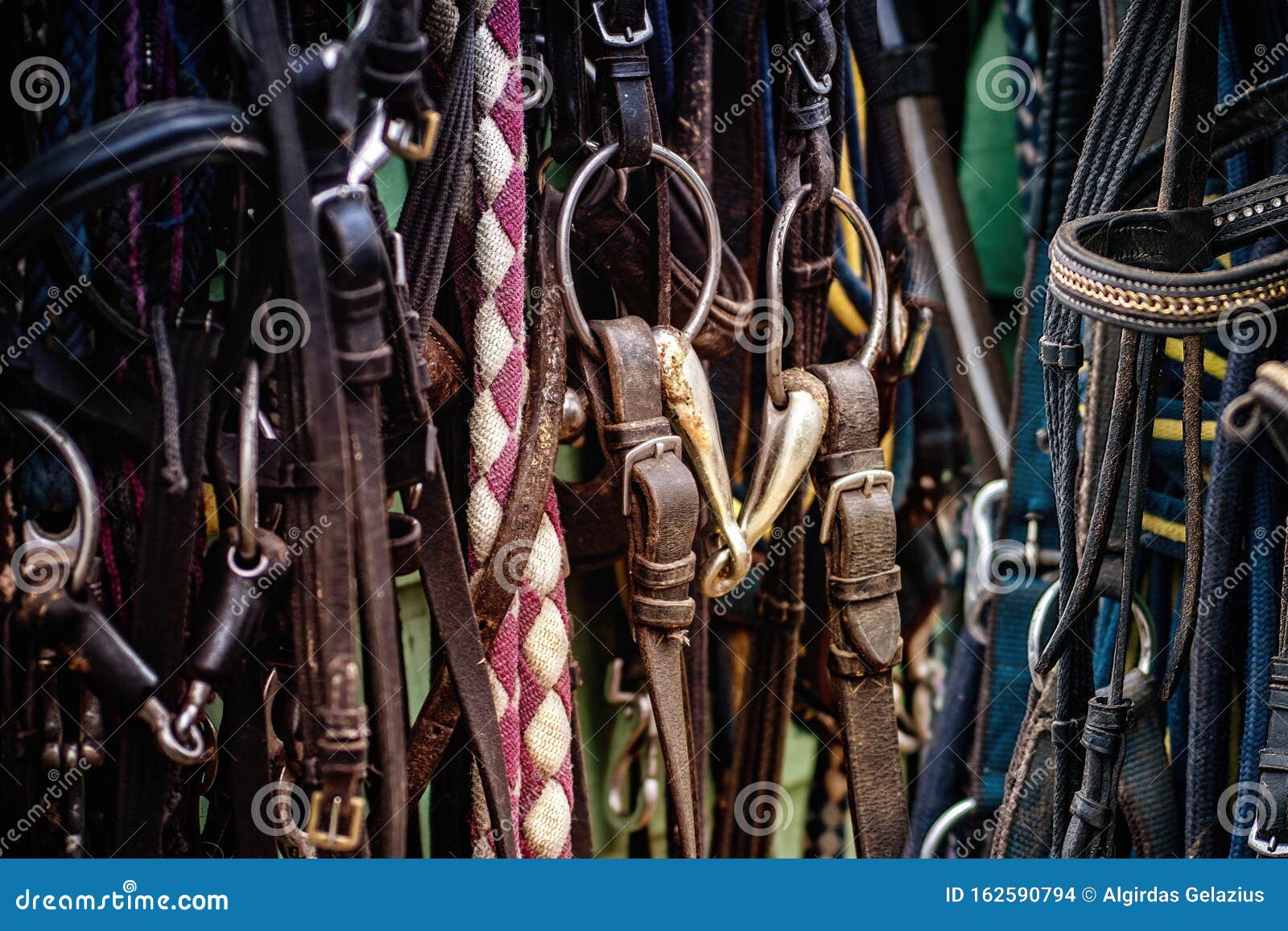 Horse-riding Equipment on a Wall Stock Photo - Image of equipment, stud ...