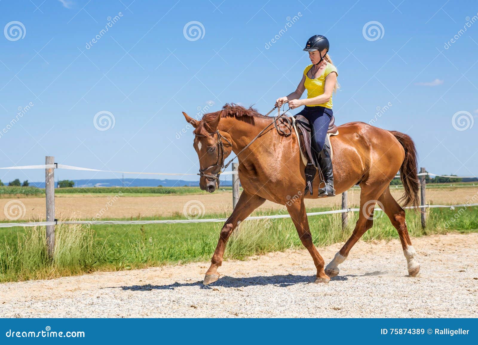 Horse riding on a field stock image. Image of gallop - 75874389