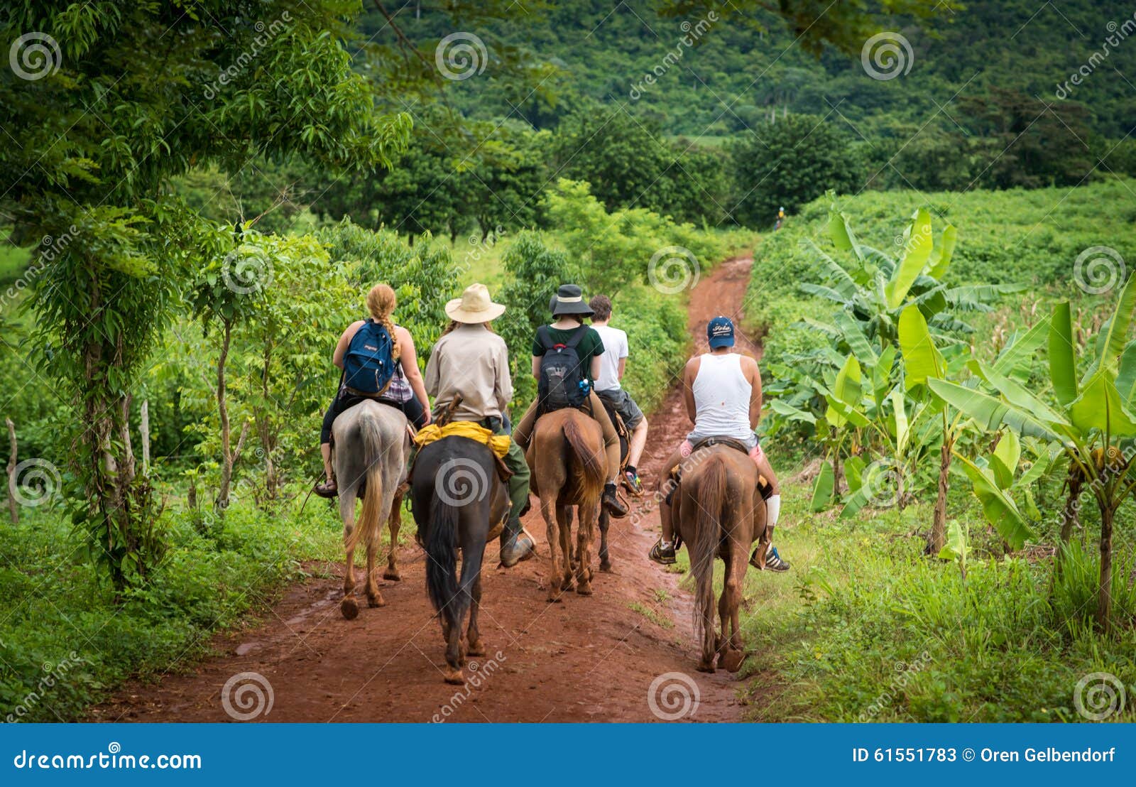 Horse riding editorial stock photo. Image of outdoor - 61551783