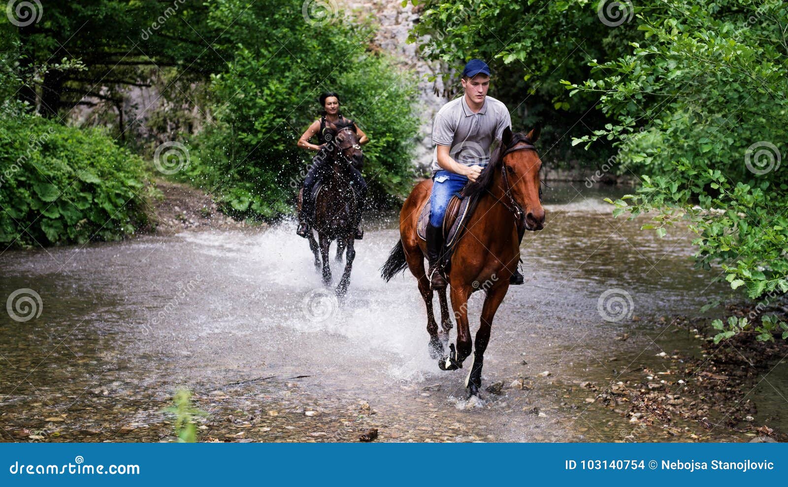 Horse riding stock photo. Image of full, domestic, animals - 103140754