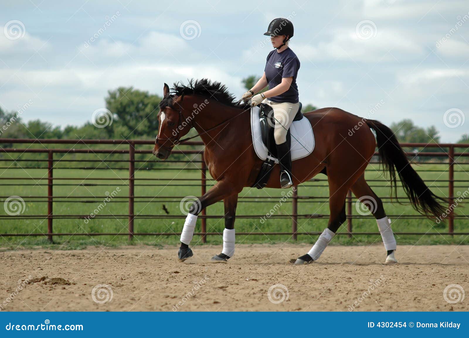 Horse riding lesson stock photo. Image of practise, lesson - 4302454