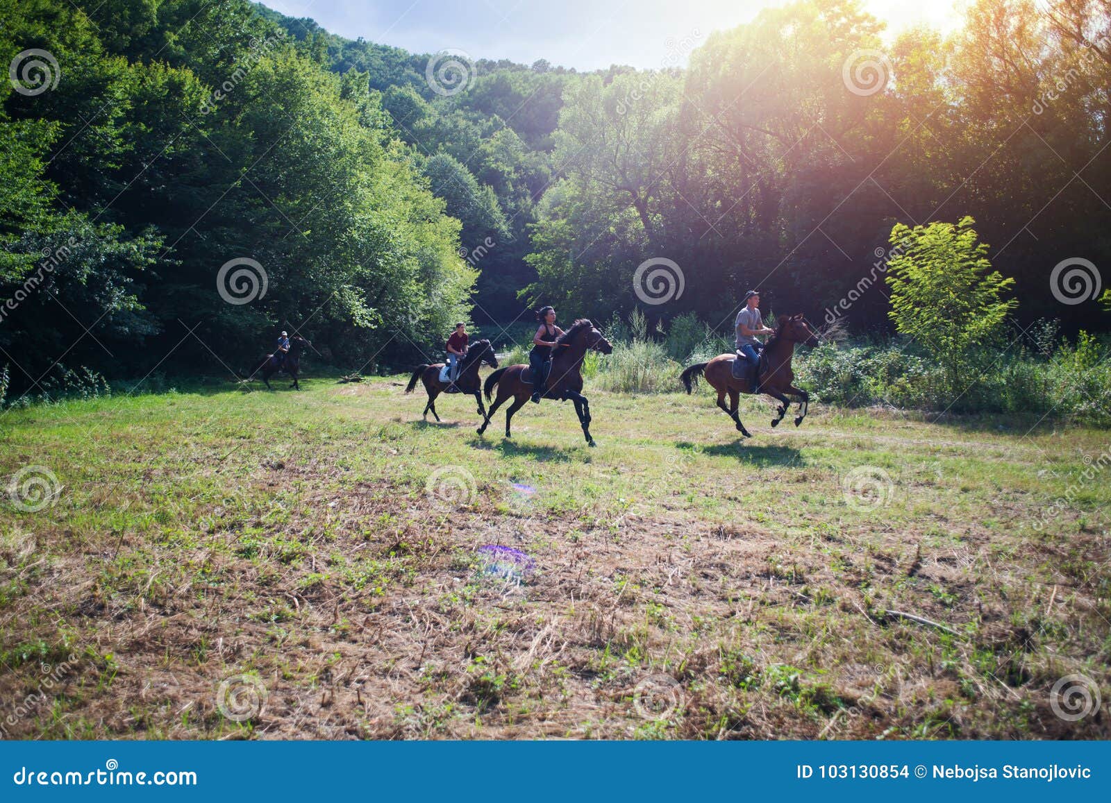 Horse riding stock photo. Image of cowboy, object, adult - 103130854