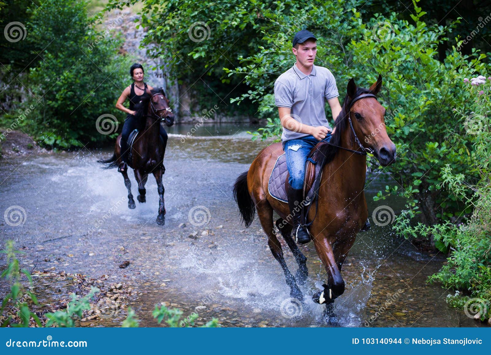 Horse riding stock photo. Image of adult, mature, full - 103140944