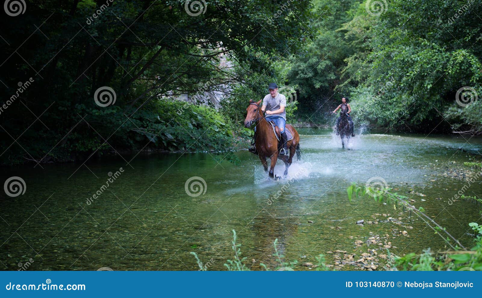 Horse riding stock photo. Image of color, rear, animal - 103140870