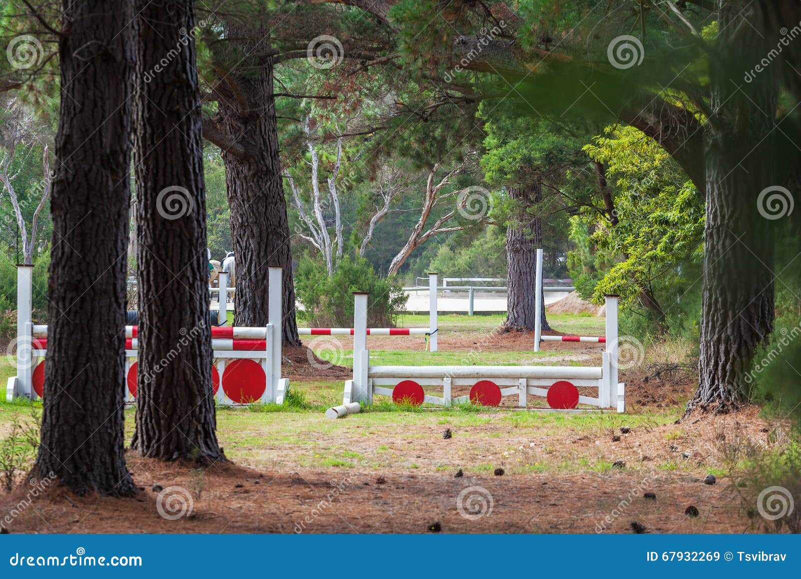 Horse Riding Obstacle Course Stock Image - Image of racehorse, jumping ...