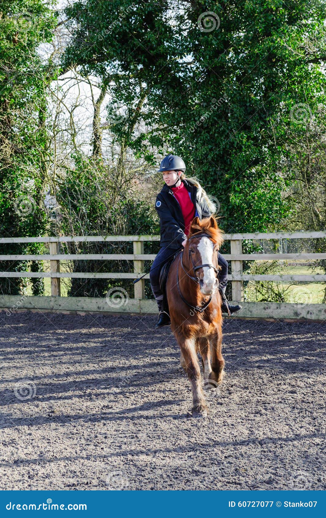 Horse riding at paddock stock image. Image of farm, active - 60727077