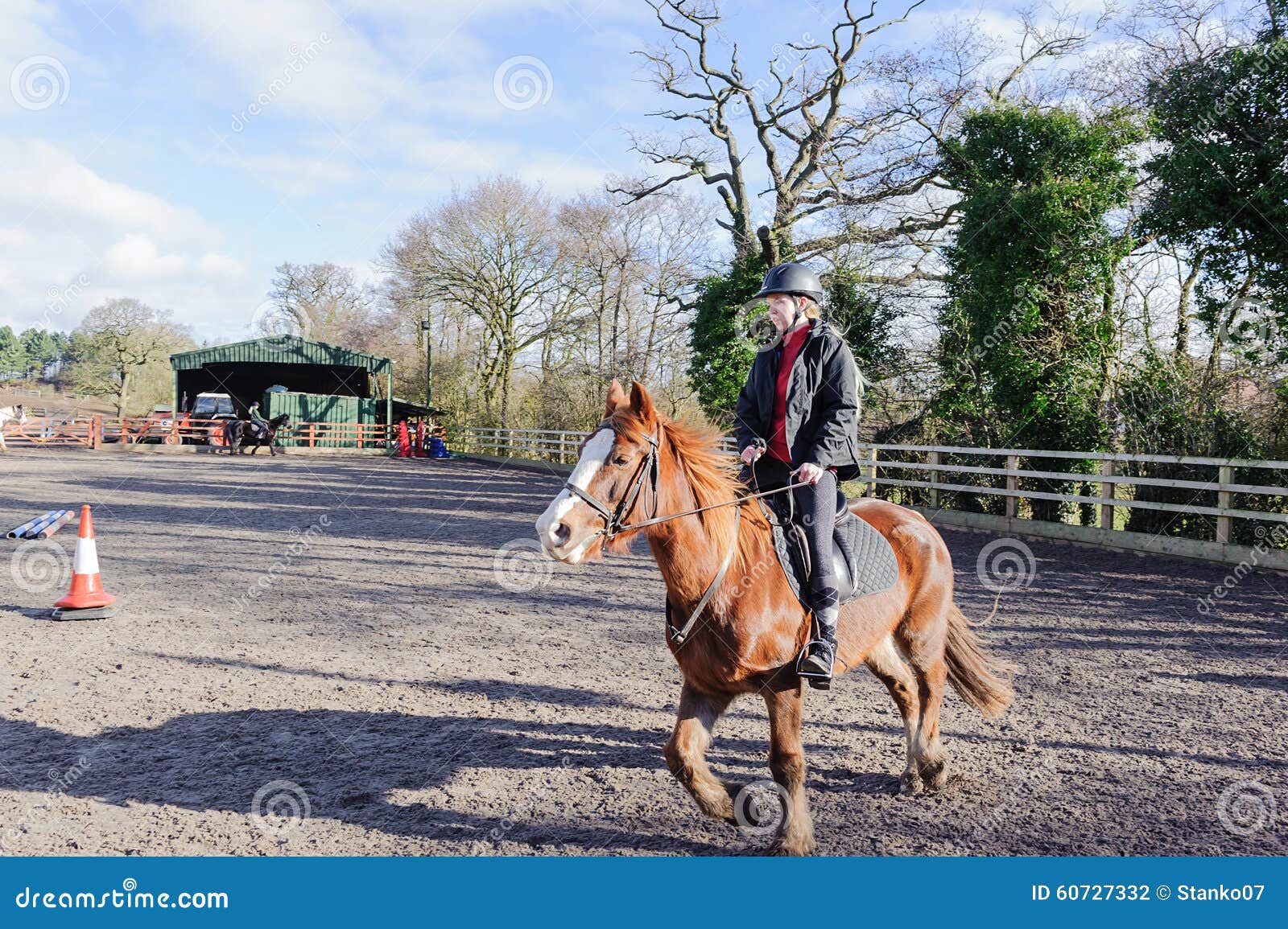 Horse riding at paddock stock photo. Image of farm, active - 60727332