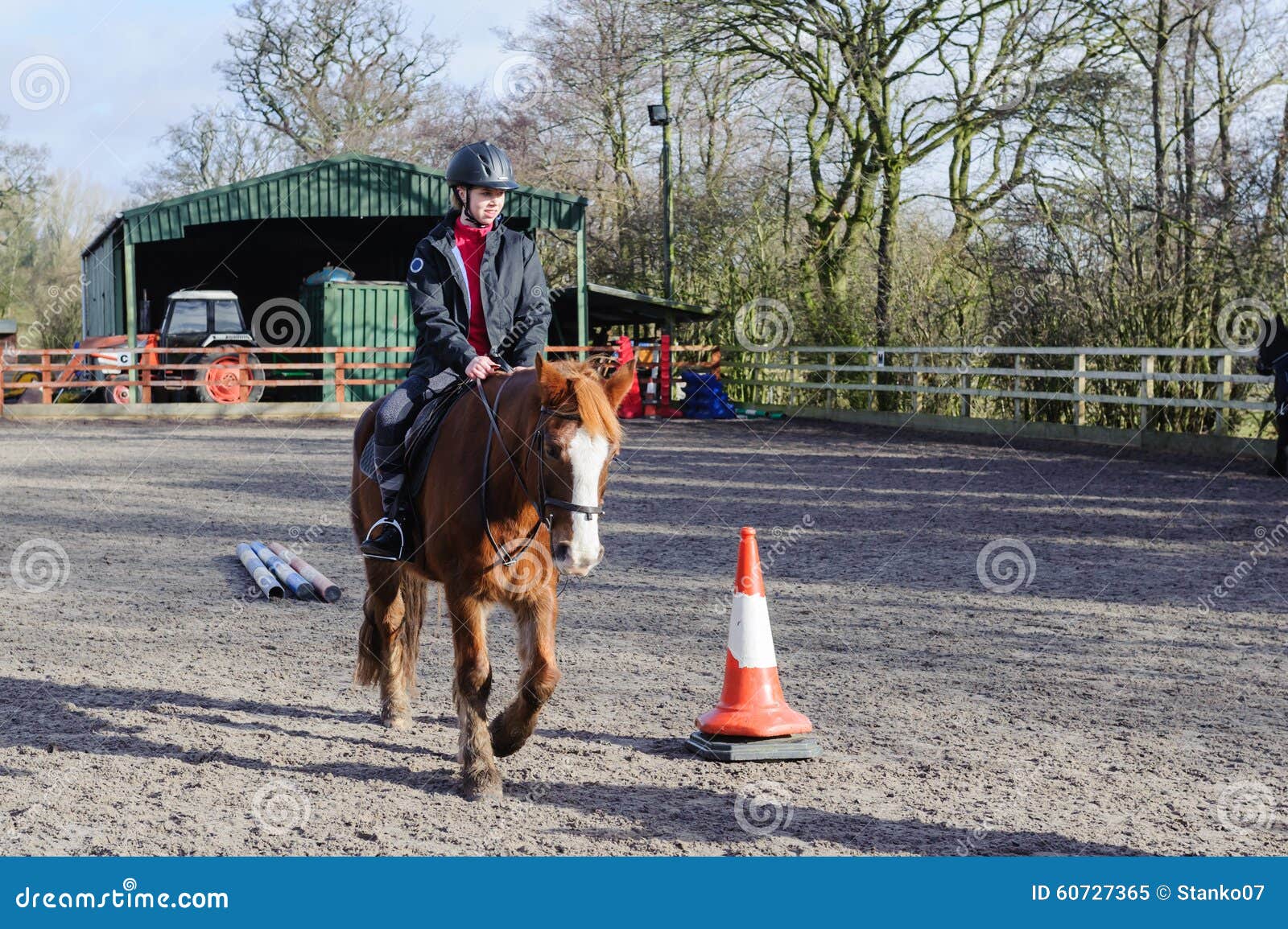 Horse riding at paddock stock image. Image of harness - 60727365