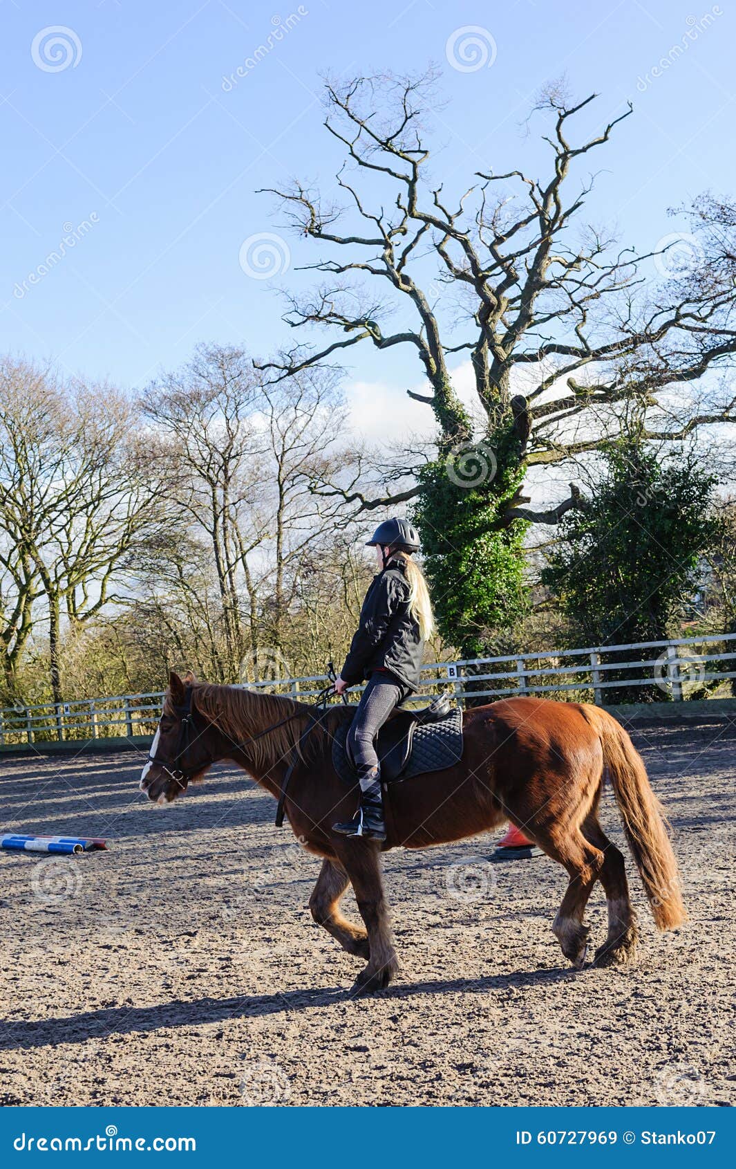 Horse riding at paddock stock image. Image of equine - 60727969